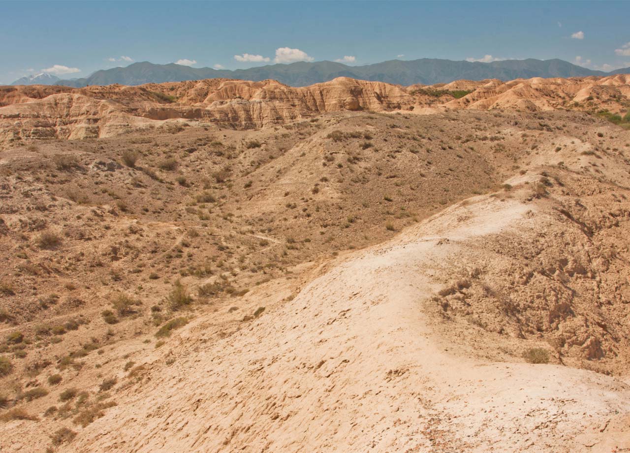 Hogyan keletkezik a homok? - Békás Logistic